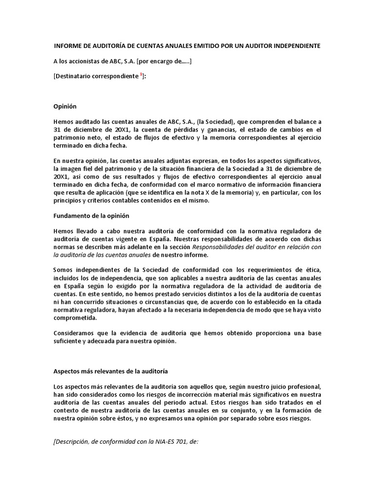 Informe de Auditoría de Cuentas Anuales Emitido Por Un Auditor Independiente. No Eip | PDF ...