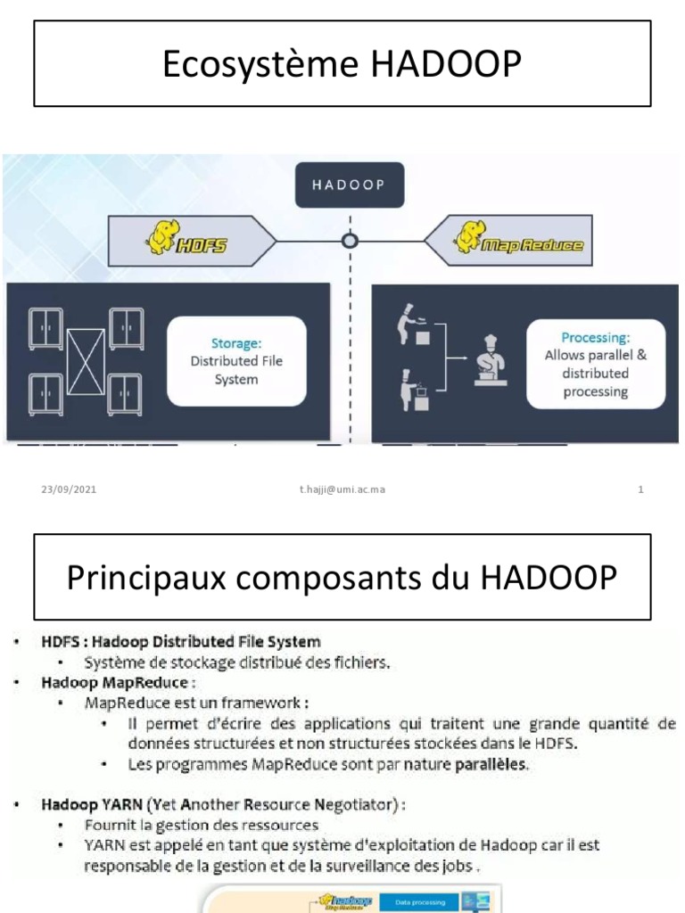 Comprendre l'écosystème Hadoop | PDF | Apache Hadoop | Fichier informatique