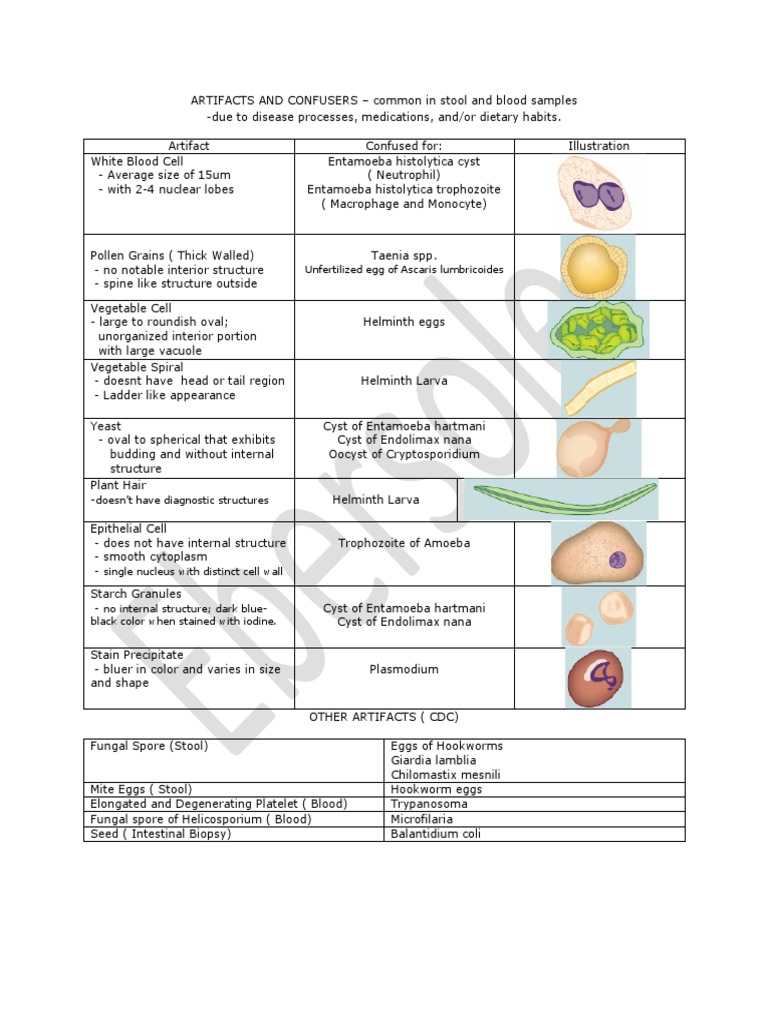 Parasitology Atlas | Download Free PDF | Parasitology | Medical Specialties