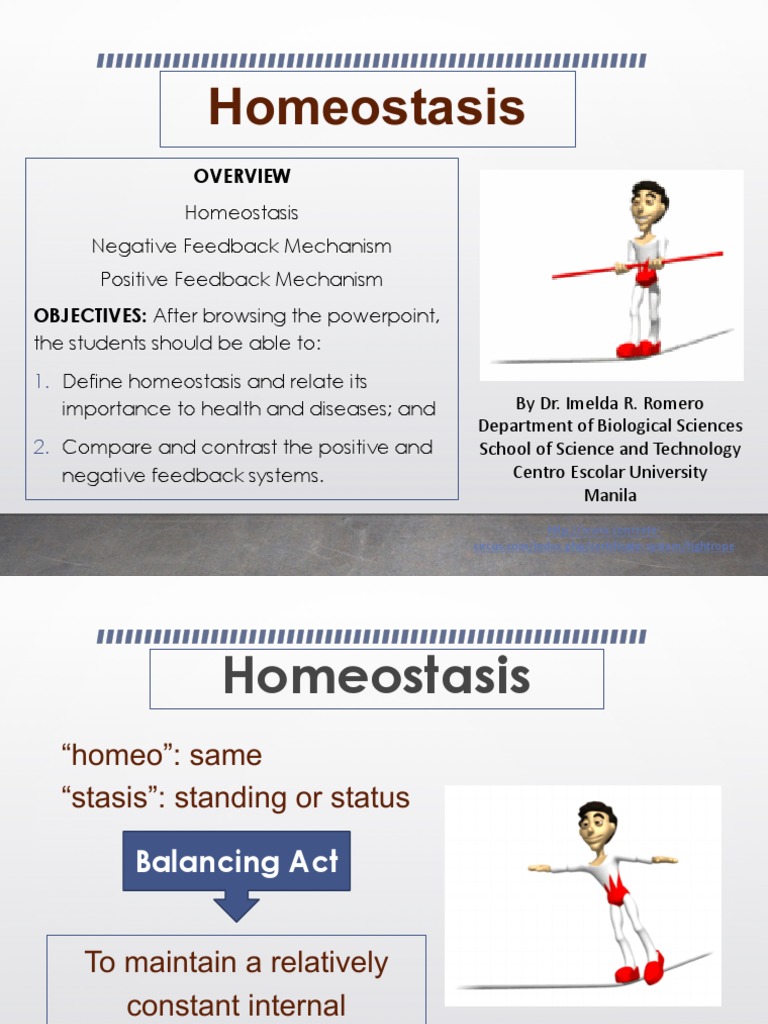 Homeostasis | PDF | Homeostasis | Negative Feedback