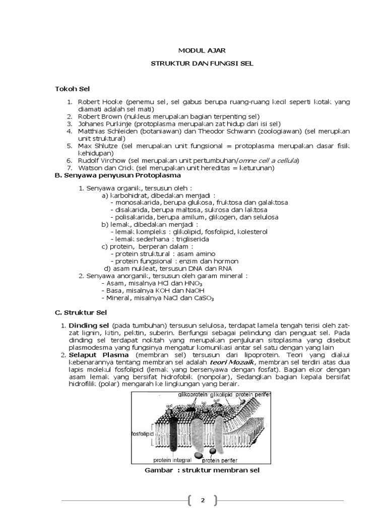 Modul Ajar Xi Sel | PDF