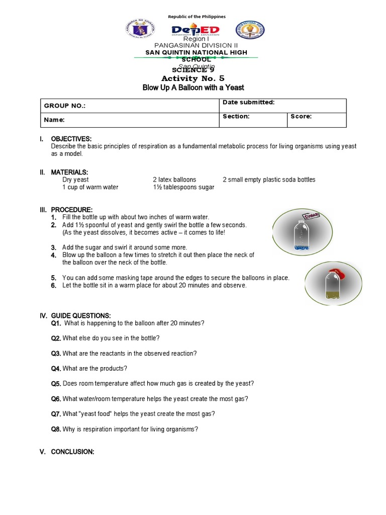 Activity No. 5 - Blow Up A Balloon With A Yeast | PDF