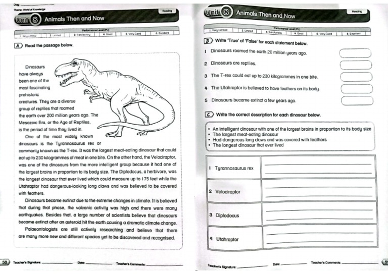 Dinosaur worksheet | PDF
