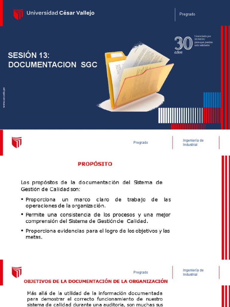 Sesion 13 | PDF | Calidad (comercial) | Ingeniería