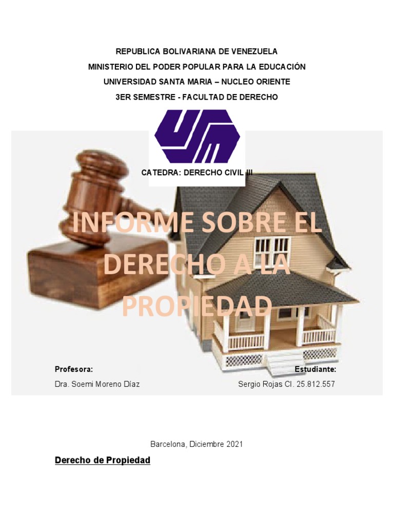 Informe Civil, Derecho A La Propiedad. Sergio Rojas | PDF | Propiedad ...