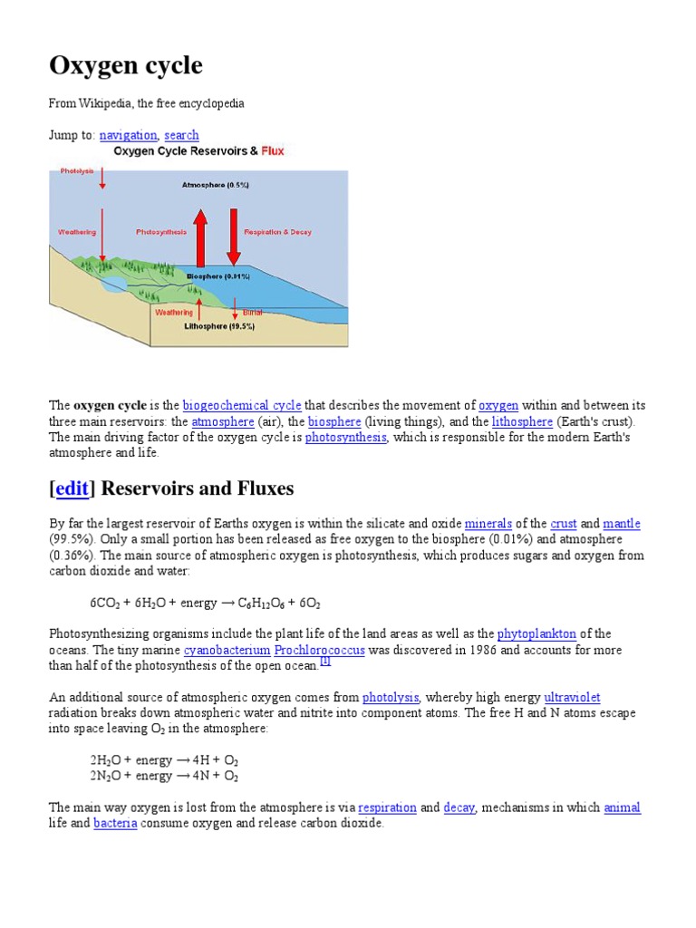 Oxygen Cycle | PDF | Oxygen | Chemistry