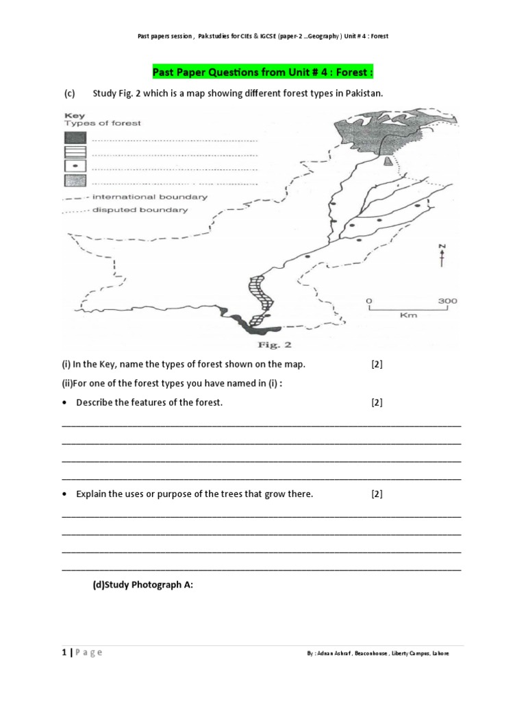 4 W.sheets Forest (Updated 2019) | PDF | Deforestation | Forests