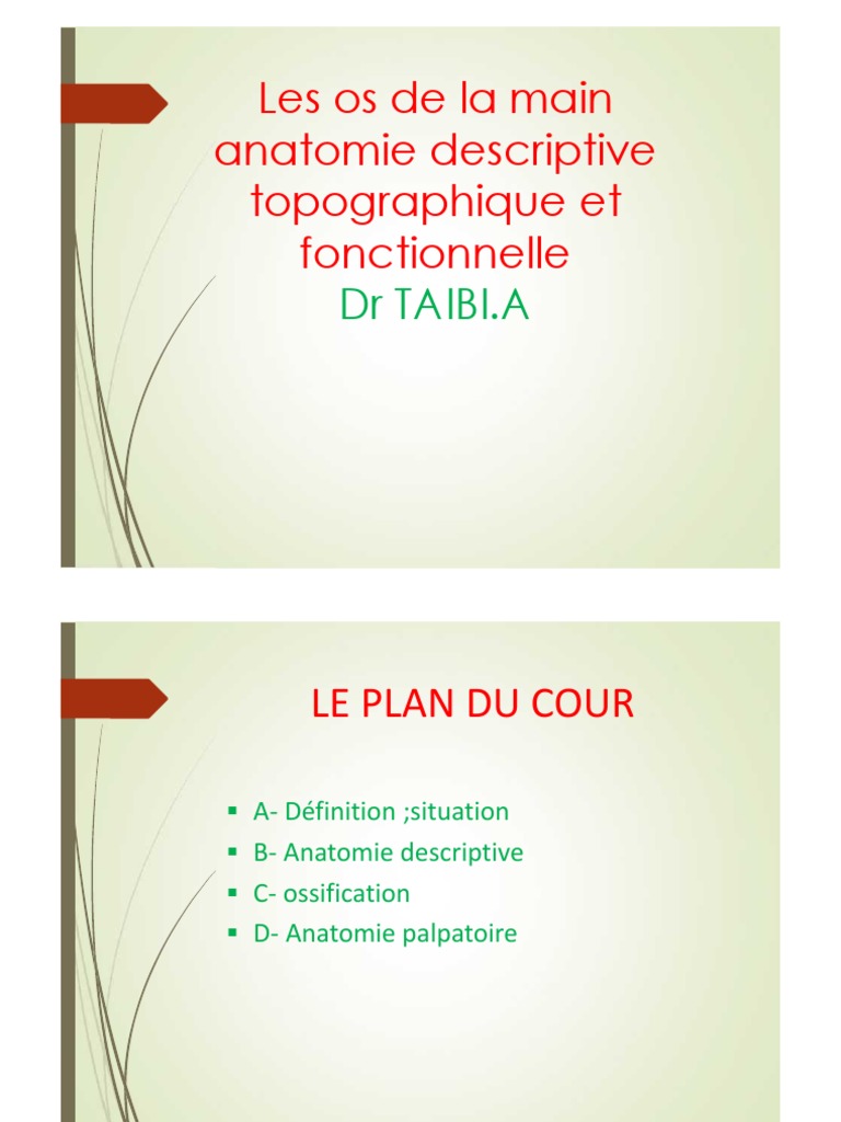 Anatomie des os de la main | PDF | Appareil locomoteur | Membres (anatomie)