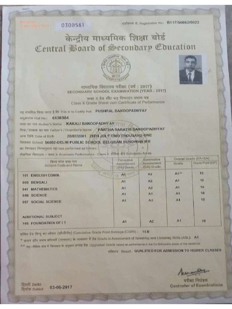 Dps Marksheet | PDF