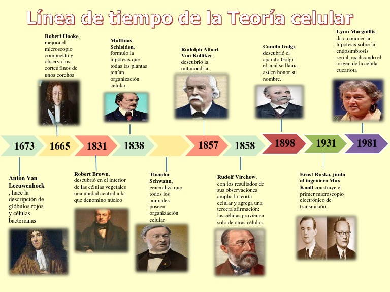Teoria Celular | Descargar gratis PDF | Biología Celular) | Microscopio