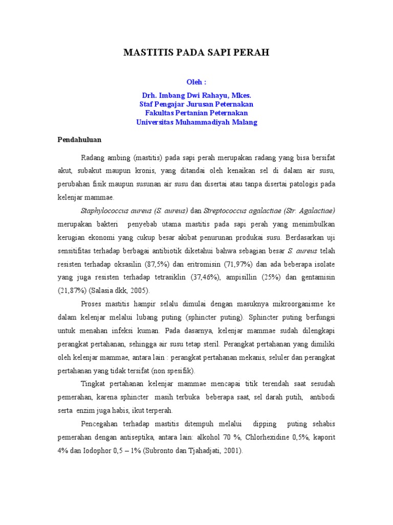 Mastitis Pada Sapi Perah | PDF