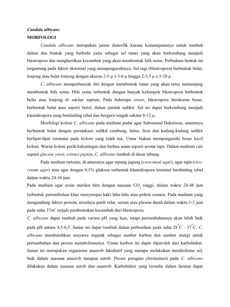 Candida Albicans | PDF