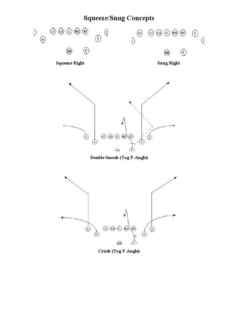 Squeeze Snug Concepts | PDF