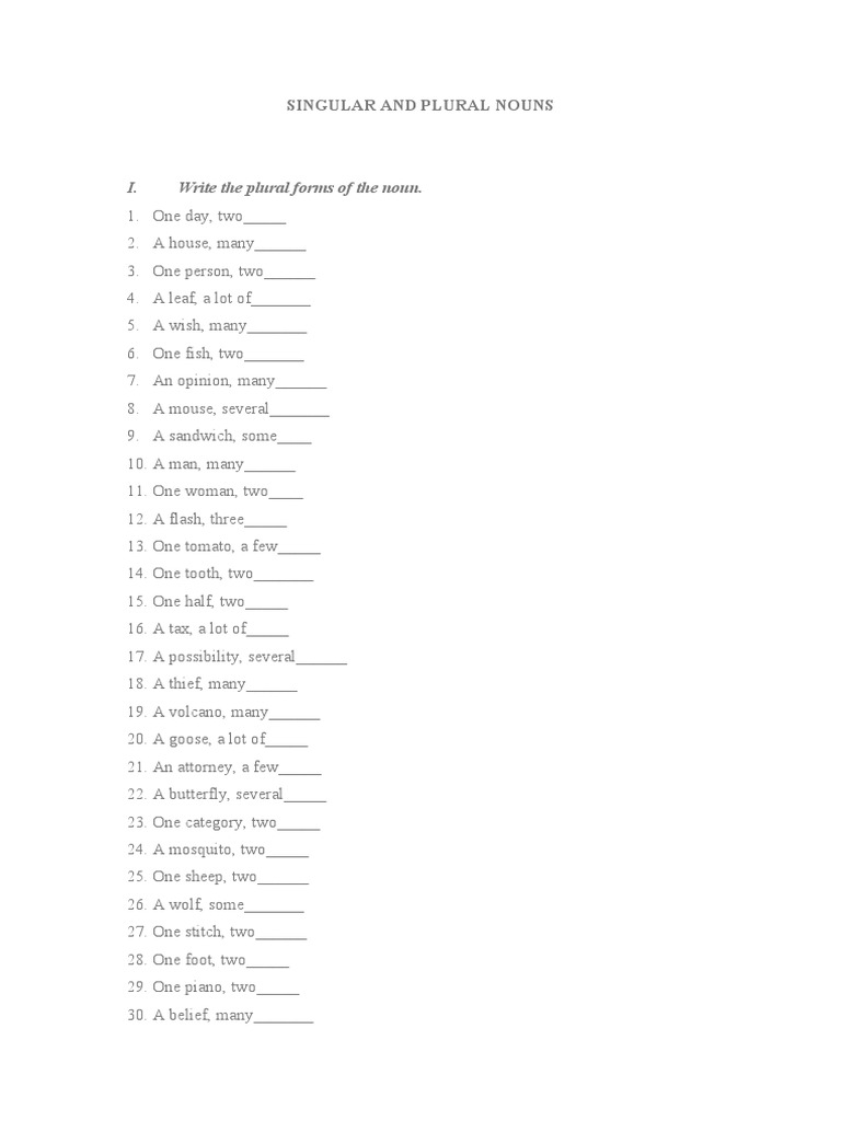 Singular and Plural Nouns Exercises | PDF | Plural | Noun