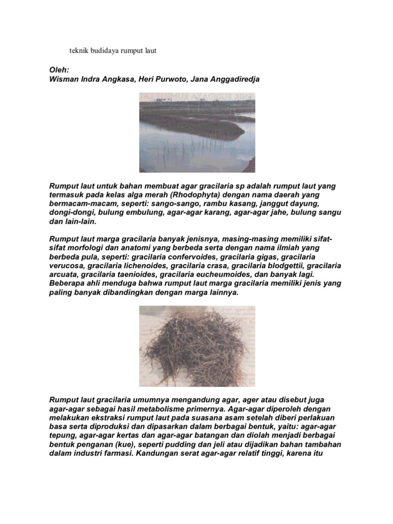 Teknik Budidaya Rumput Laut | PDF