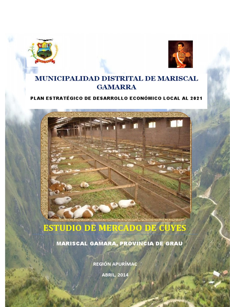 Estudio de Mercado de M. Gamarra | PDF | Mercado (economía ...