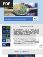 Etapas Del Proceso Infeccioso | PDF | Infección | Las bacterias