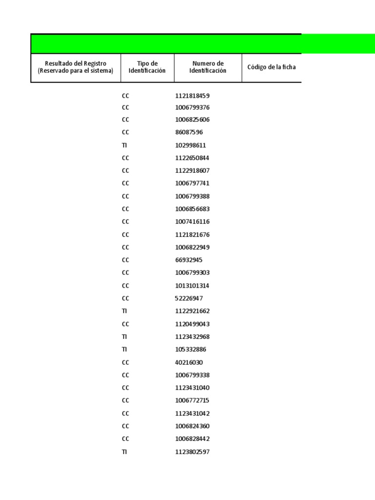 Formato Archivo Plano 6 | PDF