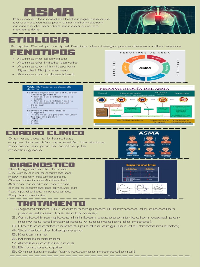 Asma: Tipos, Tratamiento y Diagnóstico | PDF | Ciencia y matemáticas