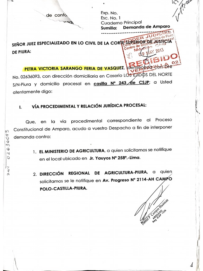 Modelo Demanda de Amparo | PDF