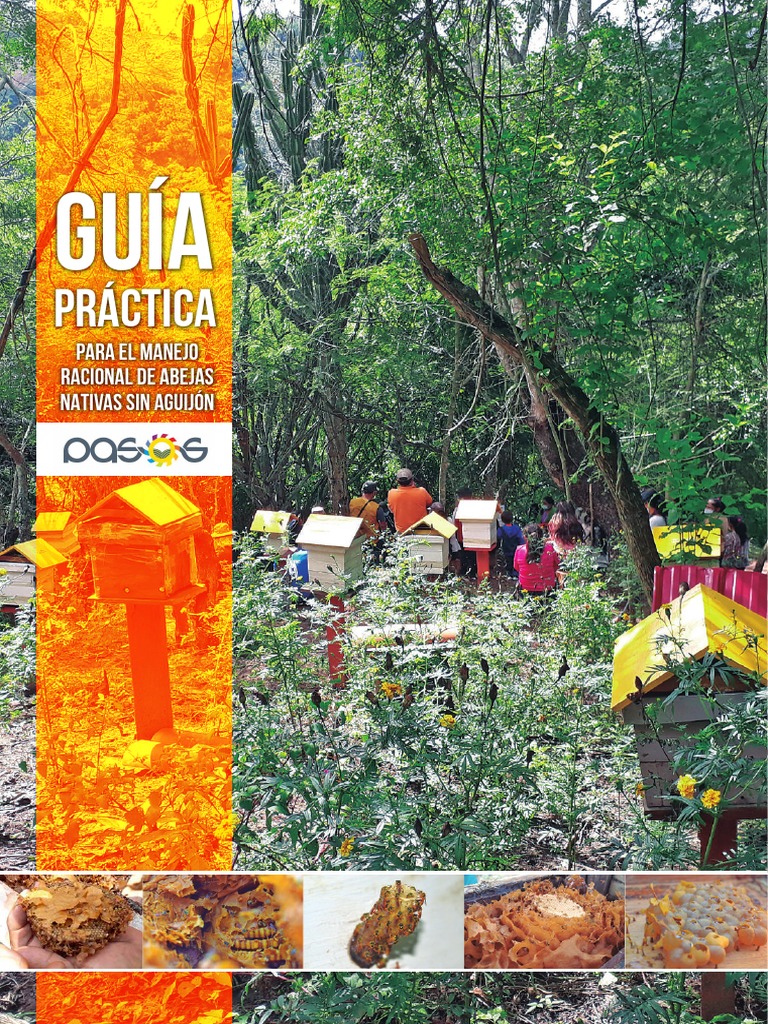 5878 20210727 Guia Manejo de Abejas Nativas-Compressed | PDF | Abejas ... 5878 20210727 Guia Manejo de Abejas Nativas-Compressed | PDF | Abejas ...
