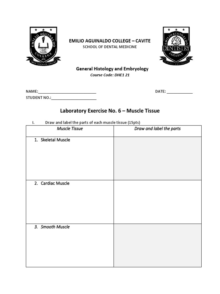 Lab Exercise No. 6 | PDF