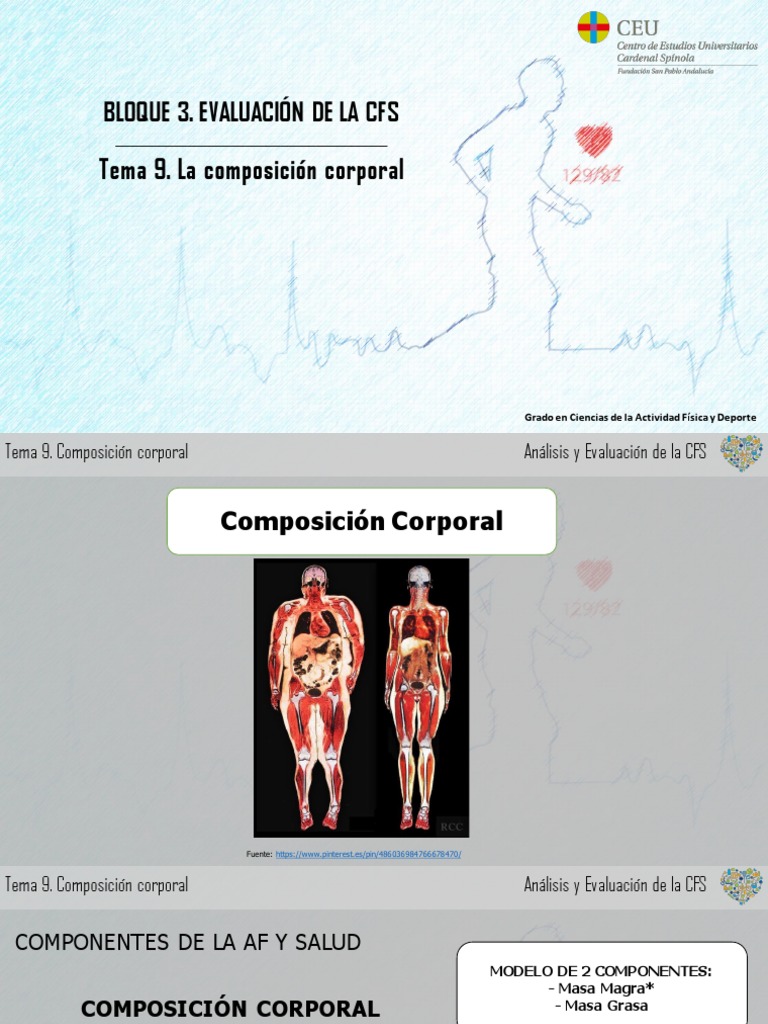 Tema 9 - Composición Corporal | PDF | Obesidad | Tejido adiposo