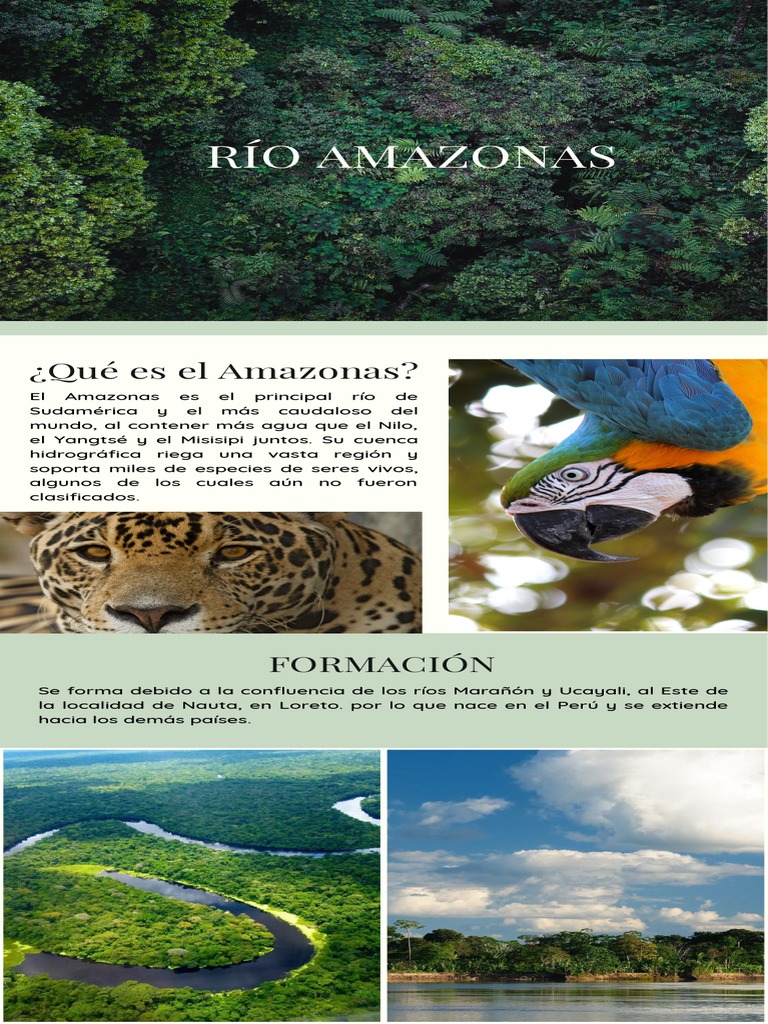 AMAZONAS | PDF | río Amazonas | Geografía Física