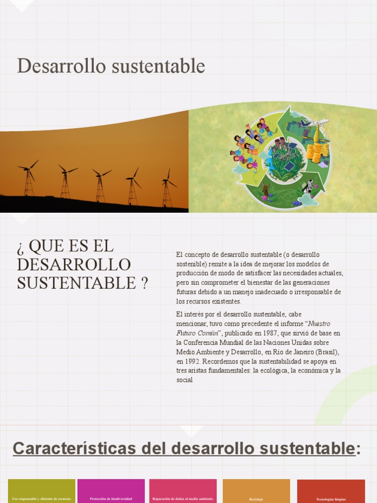Desarrollo Sustentable | PDF | Desarrollo sostenible | Sustentabilidad