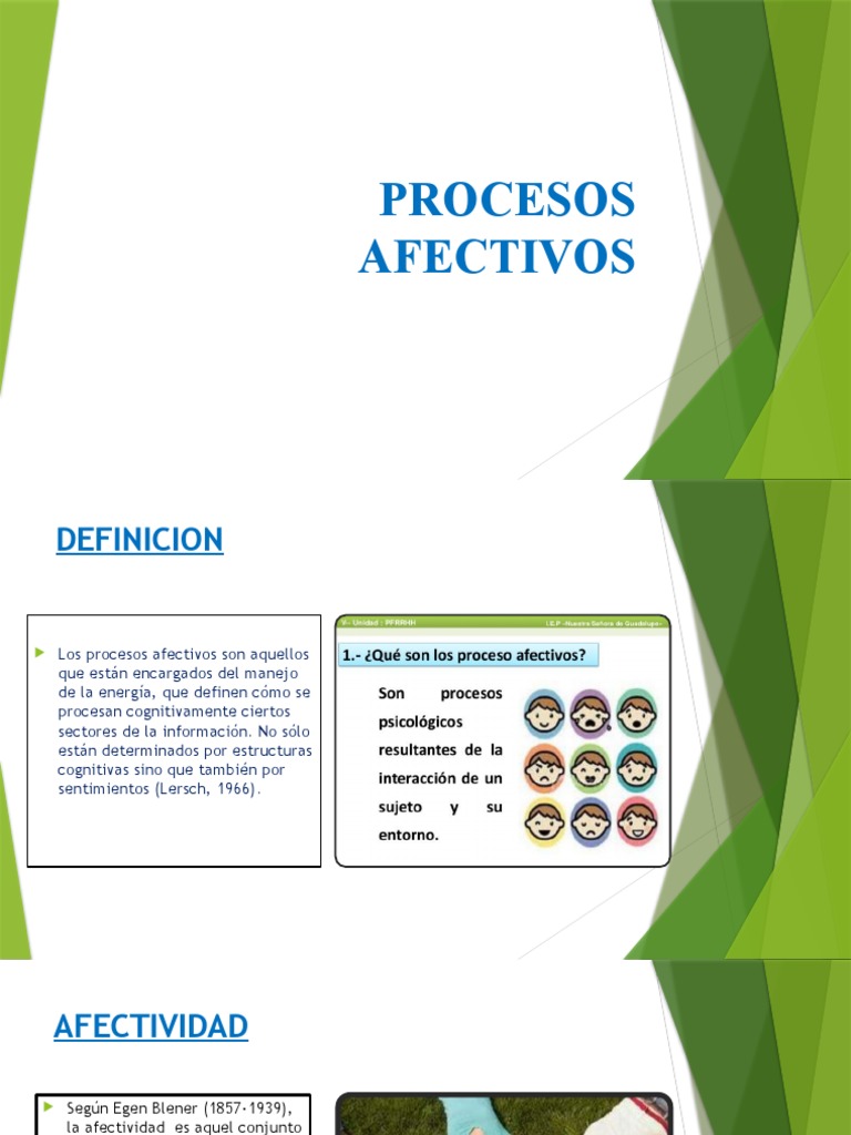 Procesos-Afectivos | PDF | Las emociones | Metafísica de la mente