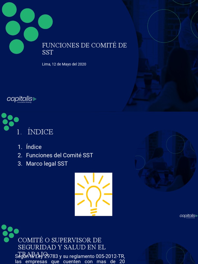 Capitalis - Funciones de Comité de SST | PDF | Ciencias de la Salud | Especialidades Medicas
