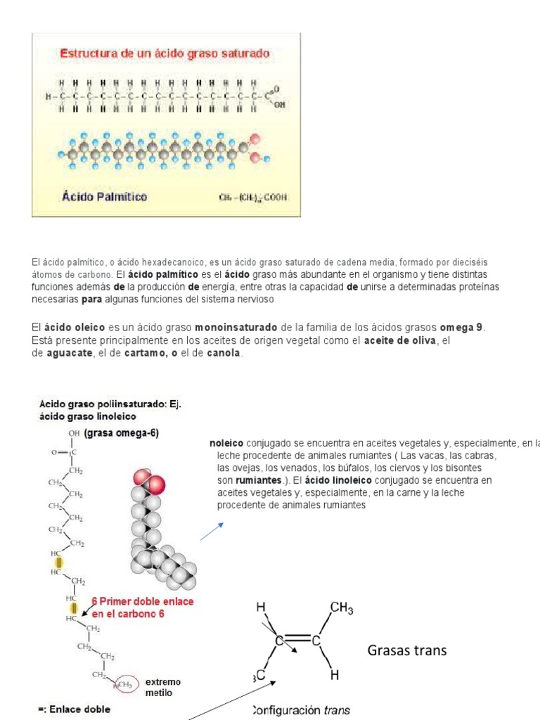 Tipos de Grasas | PDF