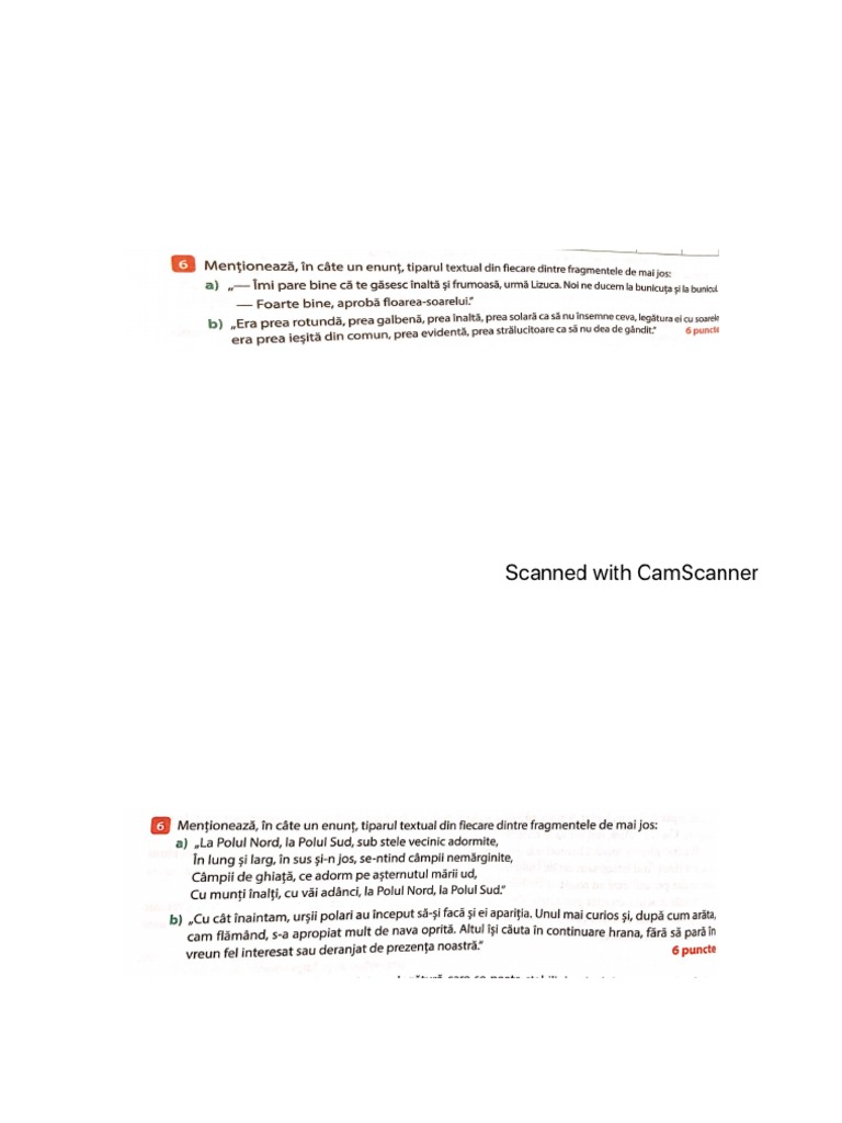 Tipare Textuale - Temă | PDF