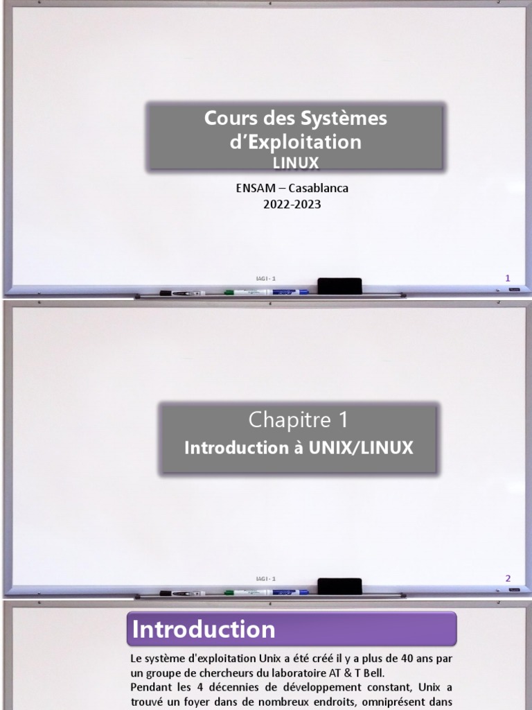 Systèmes D'exploitation - Chap 1 - Introduction UNIX - LINUX | PDF | Unix | Interface système