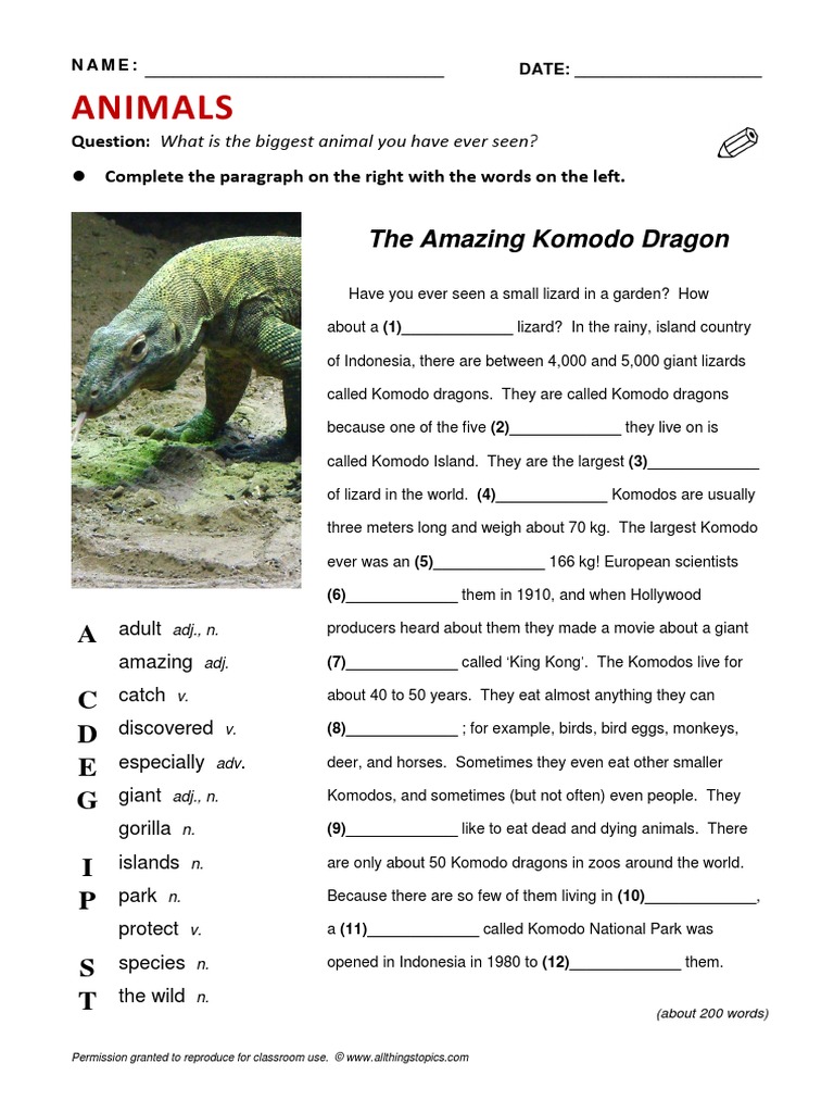 Lesson Animals Komodo-2021-B | PDF | Komodo Dragon | Lizard