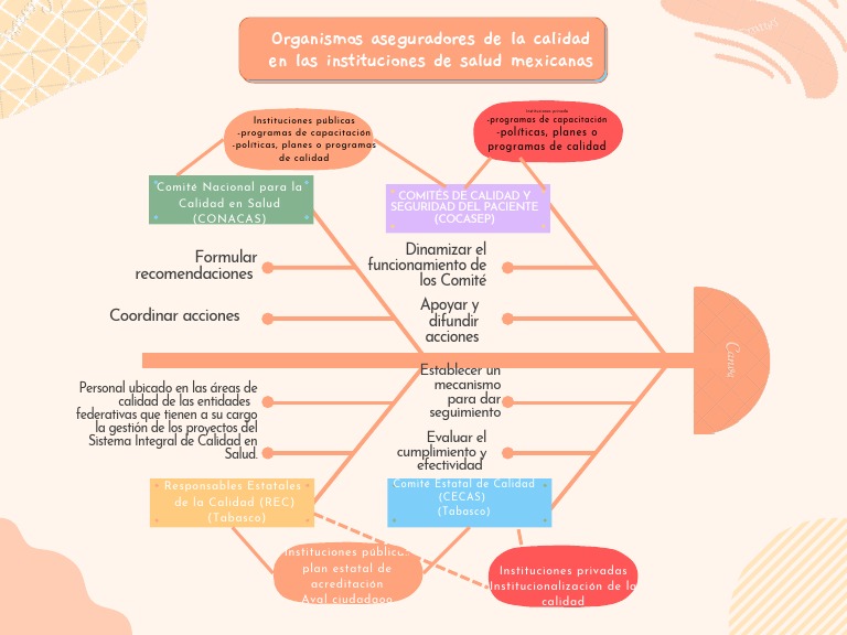 Comité Nacional para La Calidad en Salud (CONACAS) | PDF