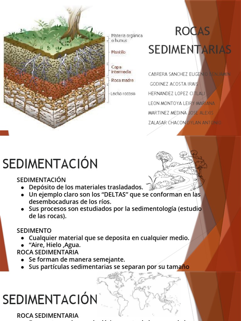 Rocas Sedimentarias | PDF