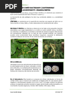 Agente Caotrópico | PDF | Ciencia y matemáticas