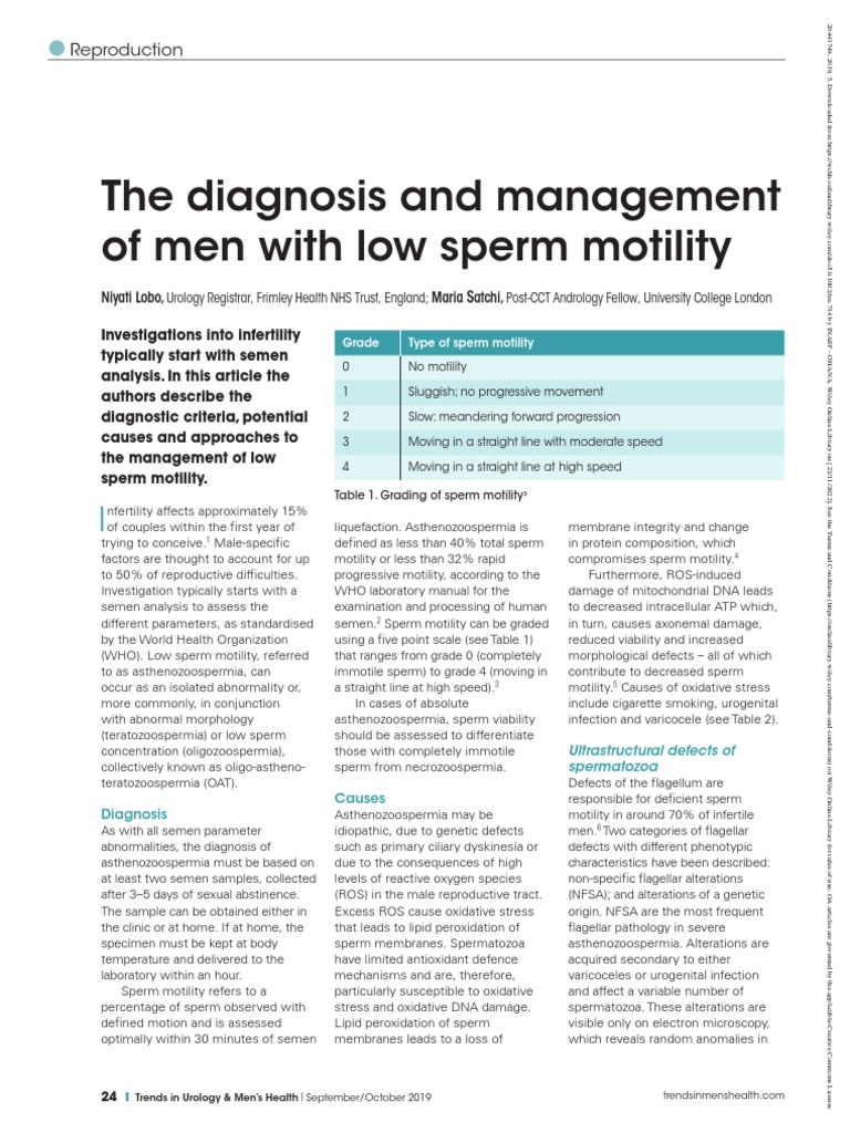 Trends Urol Men S Health - 2019 - Lobo - The Diagnosis and Management ...
