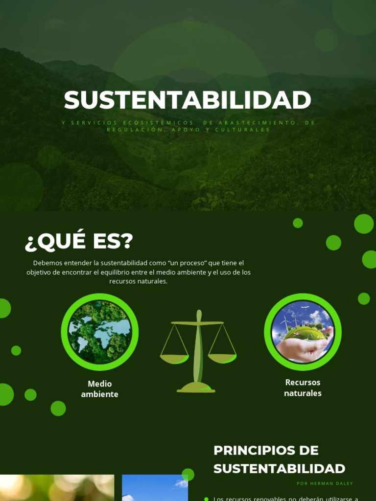 Sustentabilidad | PDF | Sustentabilidad | Desarrollo sostenible