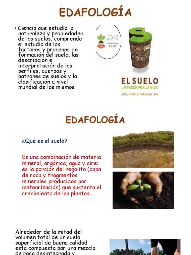 EDAFOLOGÍA | PDF | Suelo | Roca (geología)
