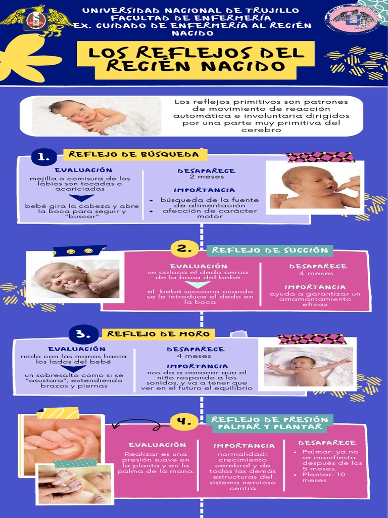 Infografia Reflejos RN | PDF