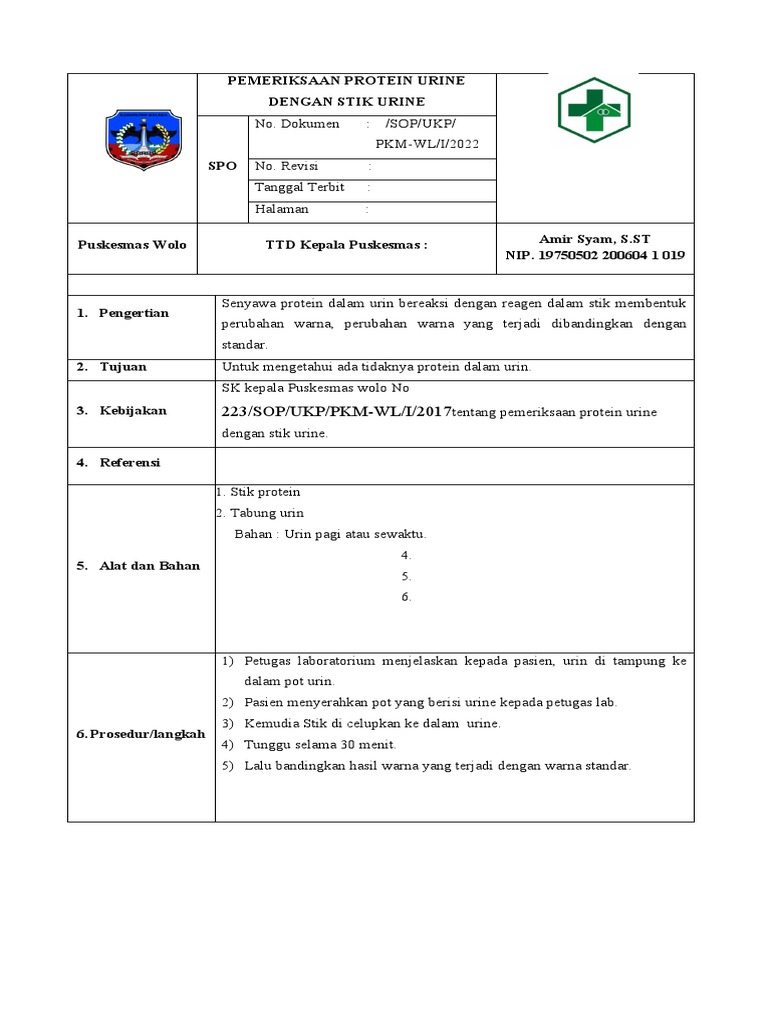 Pemeriksaan Protein Urine dengan Stik | PDF