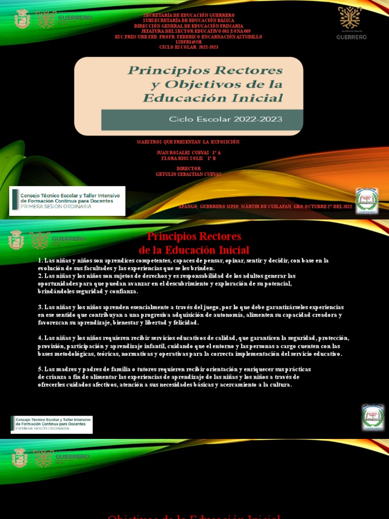 Principios Rectores Y Objetivos De La Educación Inicial ExposiciÓn