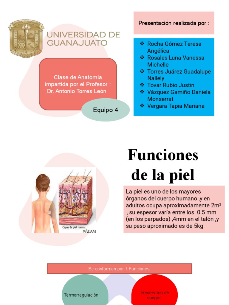 Funciones Esenciales de la Piel | PDF