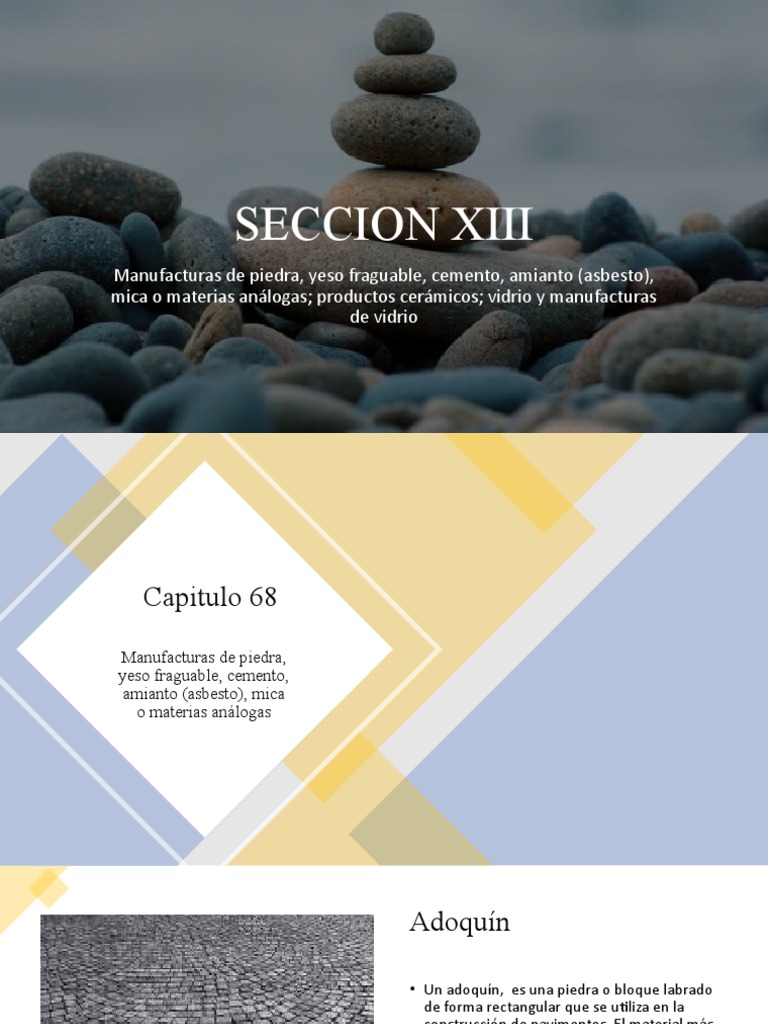 Terminos Seccion Xiii | PDF