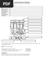 Year 8 Photosynthesis Learning Guide | PDF | Leaf | Photosynthesis