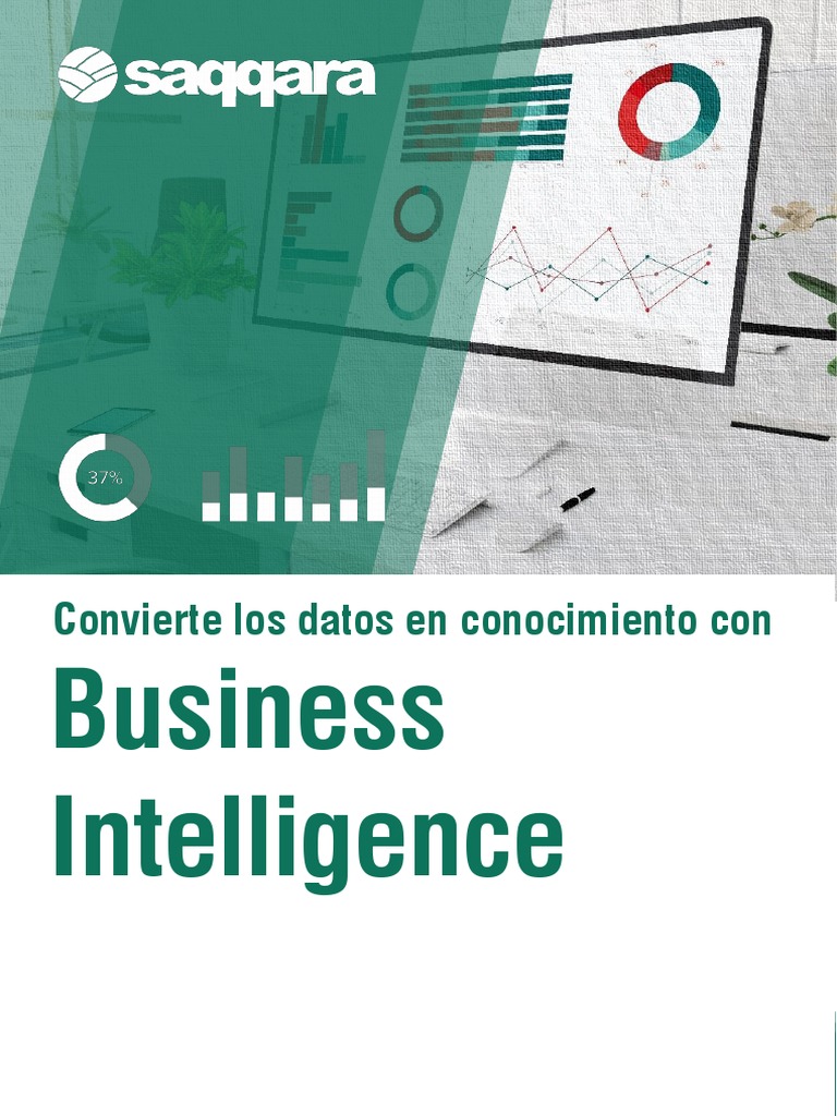 Ebook Business Intelligence | PDF | Inteligencia de negocios ...