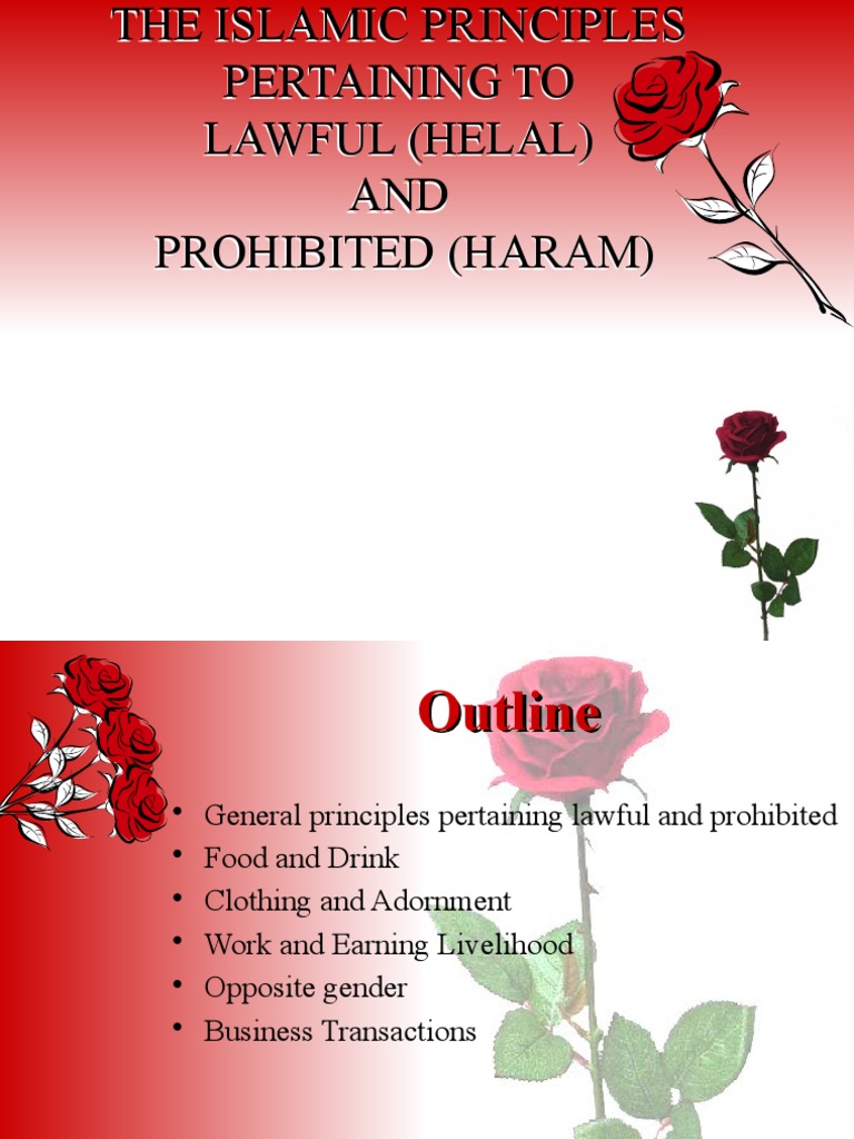 Concept of Halal & Haram in Islam | PDF