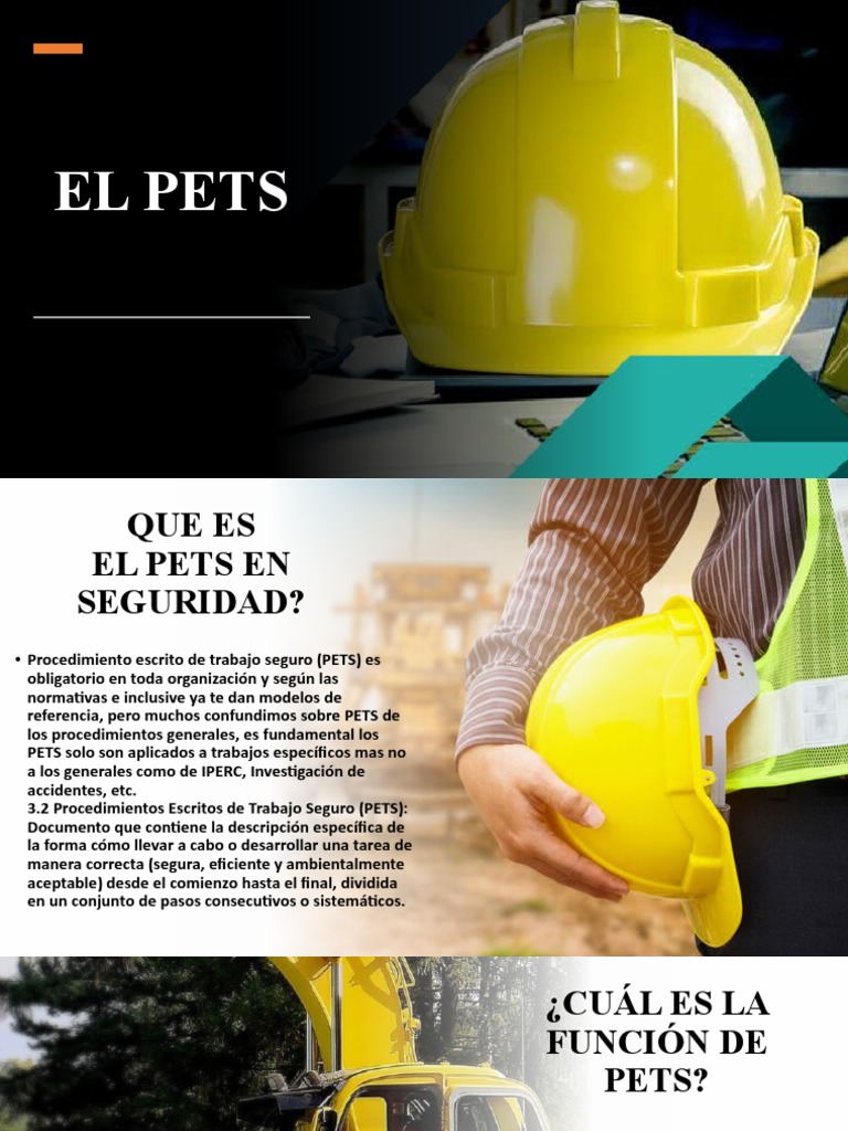 Procedimientos PETS y su Aplicación | PDF | Tomografía de emisión de ...